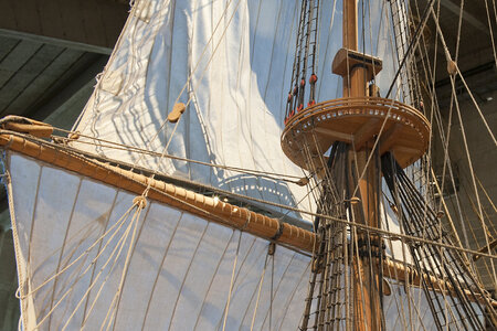 What is the purpose of the catharpins? | Ships of Scale