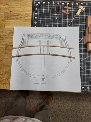 Deck beam camber | Ships of Scale